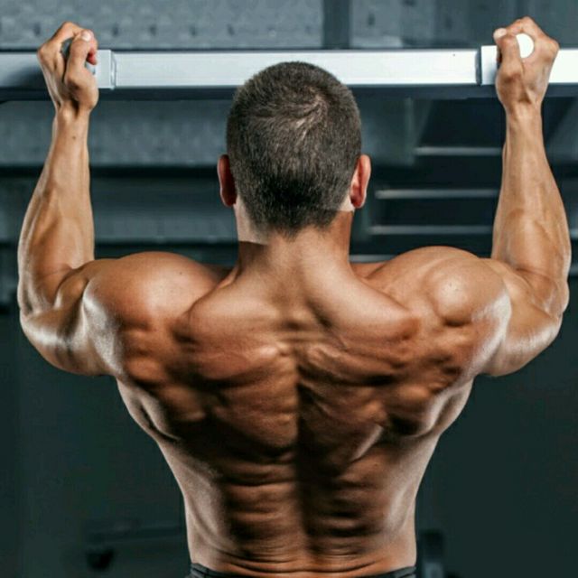 Pull Ups Small by Rene Hensen - Exercise How-to - Skimble