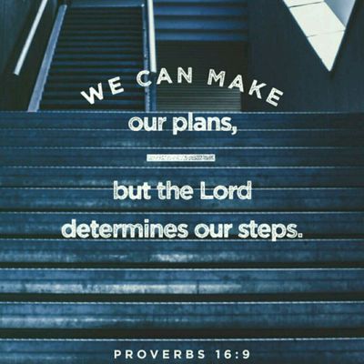 4-Way Steamboat - Exercise How-to - Workout Trainer by Skimble