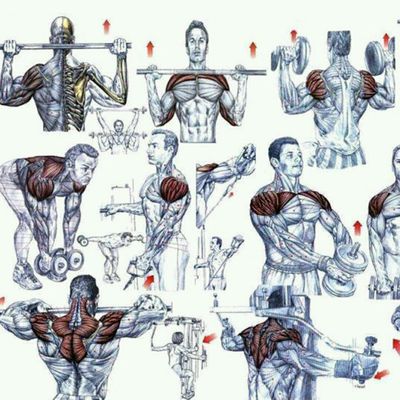 Roman Chair Situps - Exercise How-to - Workout Trainer by Skimble