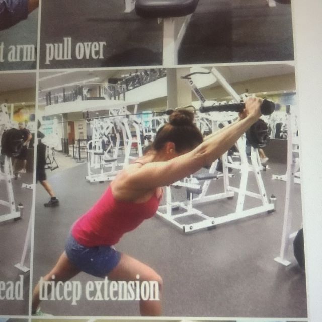 Overhead Triceps Extension Machine