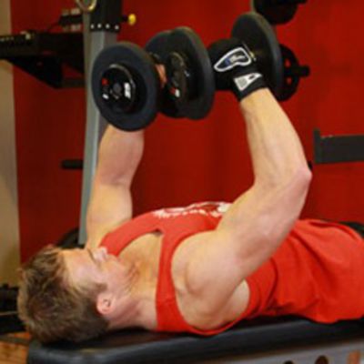 Upright Rows (Dumbbell) - Exercise How-to - Workout Trainer by Skimble