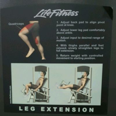 Gym Buff (Legs) - Free Moderate Workout by Andrew Parra - Skimble