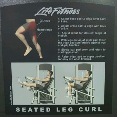 Gym Buff (Legs) - Free Moderate Workout by Andrew Parra - Skimble
