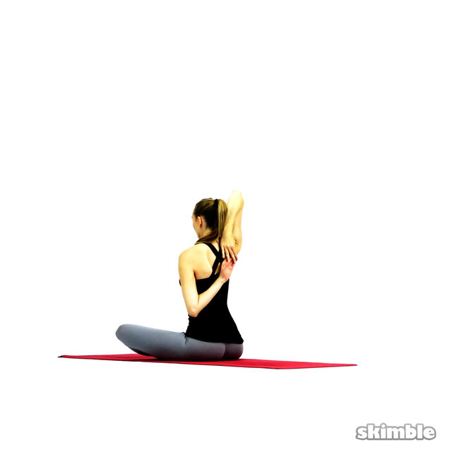 Seated Archer - Exercise How-to - Workout Trainer by Skimble