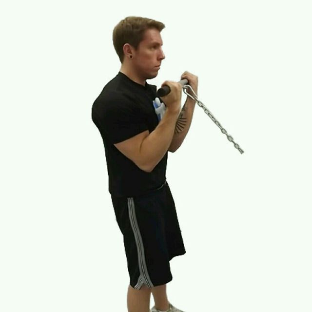 Cable Standing Bicep Curl by Dane Mc - Exercise How-to - Skimble
