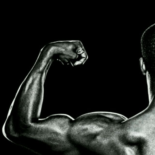 Day 2: Biceps And Back - Free Intense Workout by Dane M. - Skimble