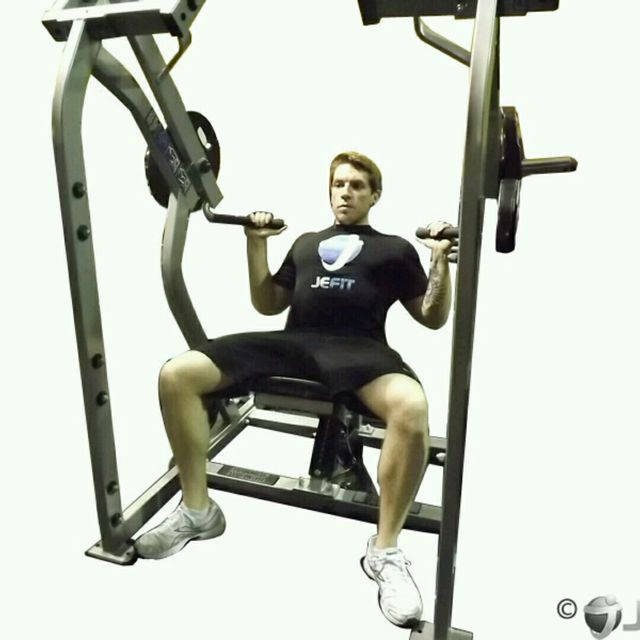 leverage Shoulder press by Dane Mc - Exercise How-to - Skimble