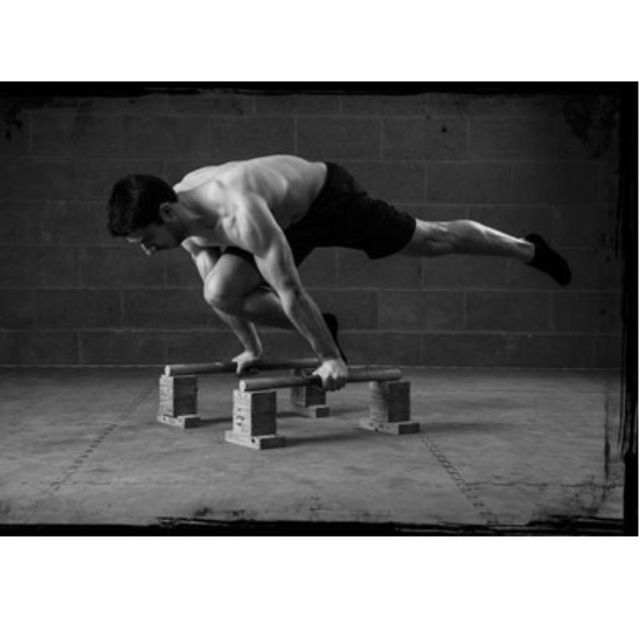 One Leg Planche Hold by Sam Stitt - Exercise How-to - Skimble