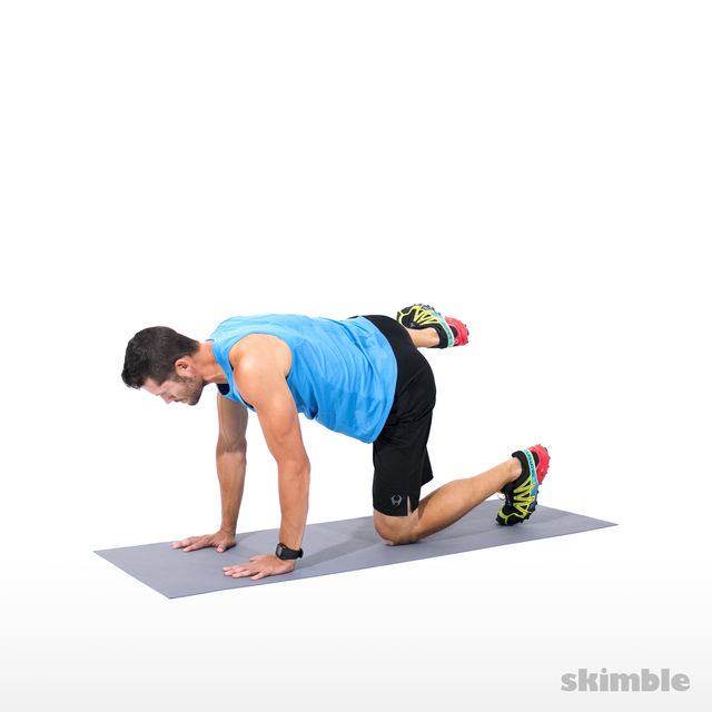 Standing Fire Hydrant Exercise