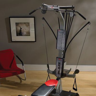 Bowflex - Seated Lat Rows - Exercise How-to - Workout Trainer by Skimble