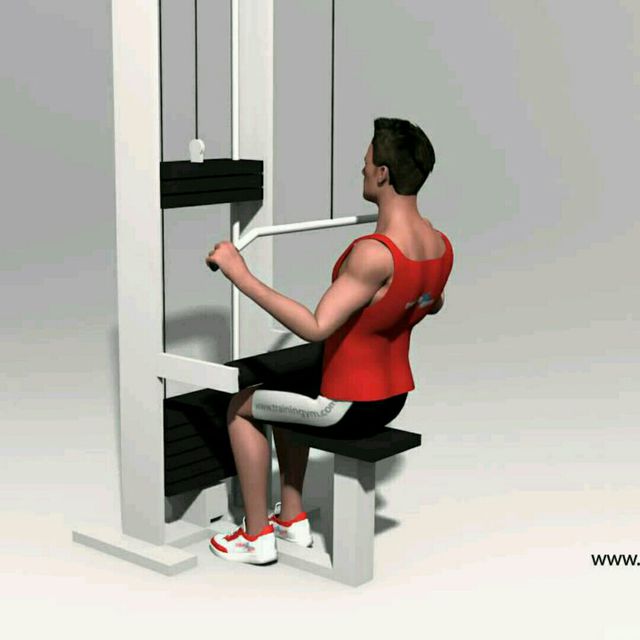 Jalón al pecho con Agarre Ancho 通过 Luisma Hourcade - Ejercicio Cómo ...