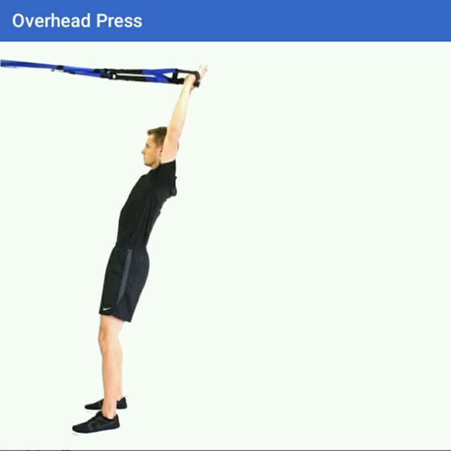Overhead Extension TRX by Jamal Felton - Exercise How-to - Skimble