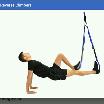 Hamstring Runner TRX by Jamal Felton - Exercise How-to - Skimble