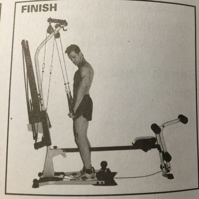 Bowflex - Seated Leg Extension - Exercise How-to - Workout Trainer by ...