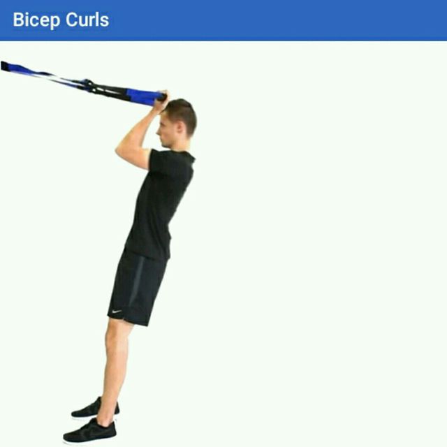 Bicep Curls (TRX) by Jamal Felton - Exercise How-to - Skimble