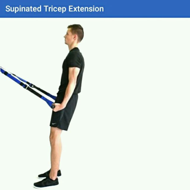 Supinated Tricep Extension by Jamal Felton - Exercise How-to - Skimble