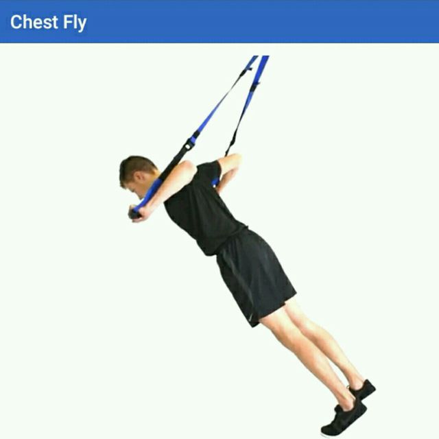 Chest Fly by Jamal Felton - Exercise How-to - Skimble