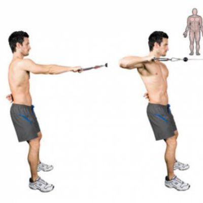 Standing Barbell Twist - Exercise How-to - Workout Trainer by Skimble