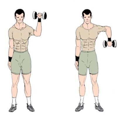 Dumbbell Chest Scoop - Exercise How-to - Workout Trainer by Skimble