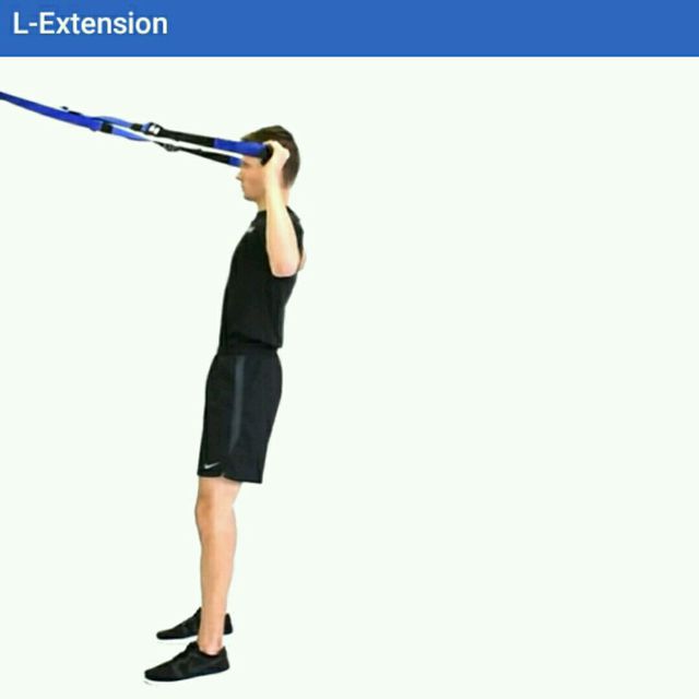 L-Extension TRX by Jamal Felton - Exercise How-to - Skimble