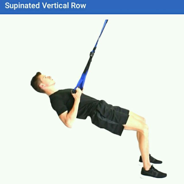Supinated Vertical Row TRX by Jamal Felton - Exercise How-to - Skimble