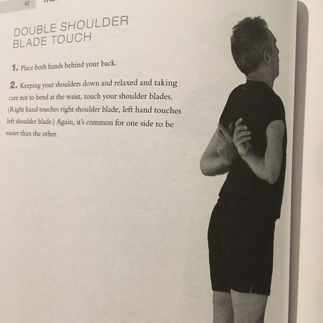 Double Shoulder Blade Touch por Mark H. - Ejercicio Cómo hacerlo - Skimble