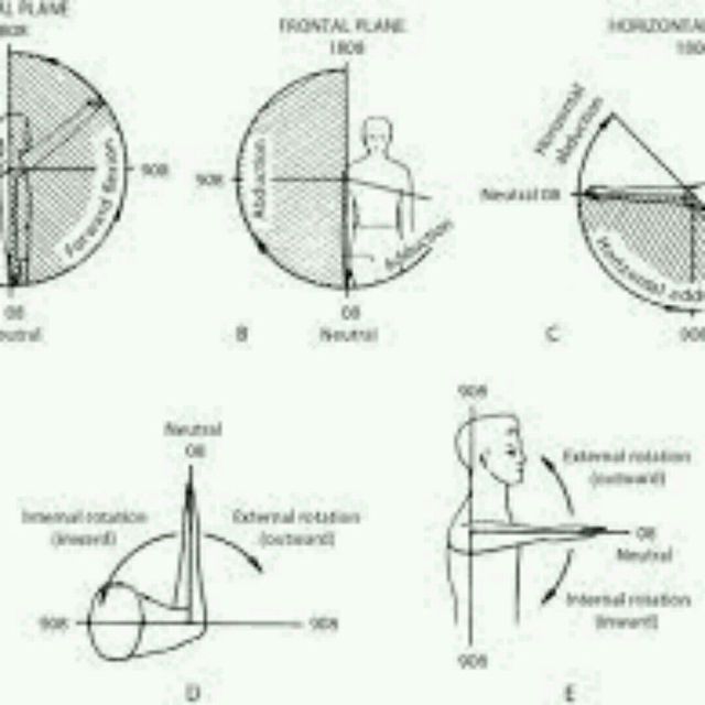 Shoulder Rotation by Sungwook C. - Exercise How-to - Skimble