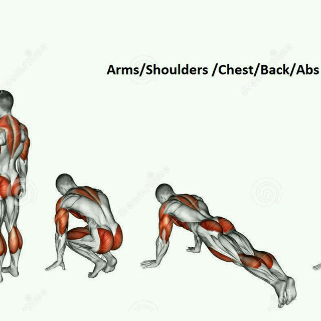 Burpees - Free Full Body Workout by Florin Rav - Skimble