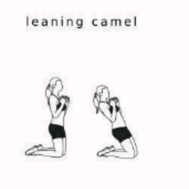Leaning Camel - Exercise How-to - Workout Trainer by Skimble