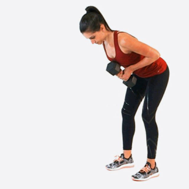 Dumbbell Pistons by Sonia R. - Exercise How-to - Skimble