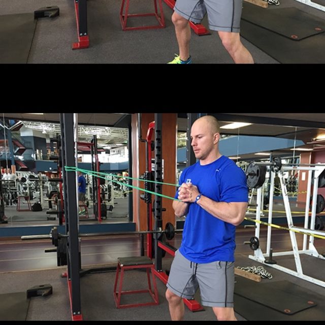 Pallof Press - Exercise How-to - Workout Trainer by Skimble