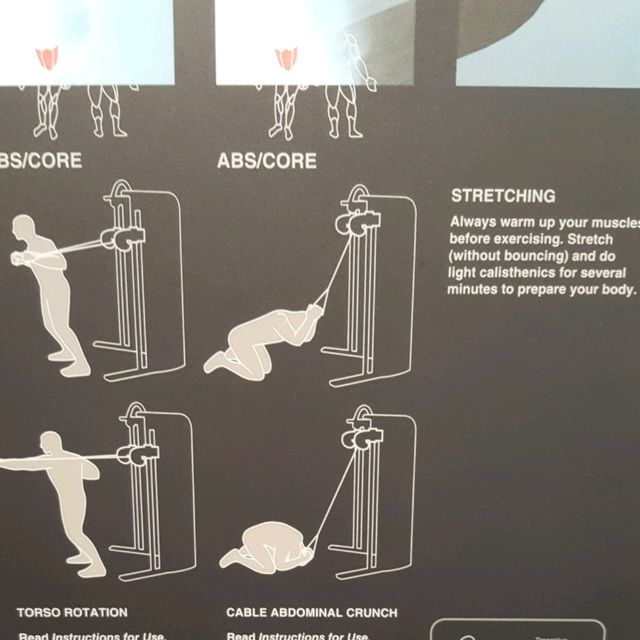 Cable Abdominal Rotation Exercise