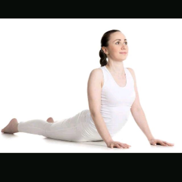 Full Seal by 𝔻𝕖𝕤𝕖𝕣𝕥 𝔽𝕠𝕩🦊 🌟 - Exercise How-to - Skimble