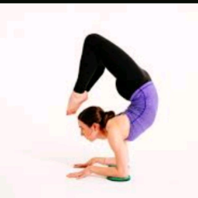 Elbow Scorpion Handstand by 𝔻𝕖𝕤𝕖𝕣𝕥 𝔽𝕠𝕩🦊 🌟 - Exercise How-to - Skimble