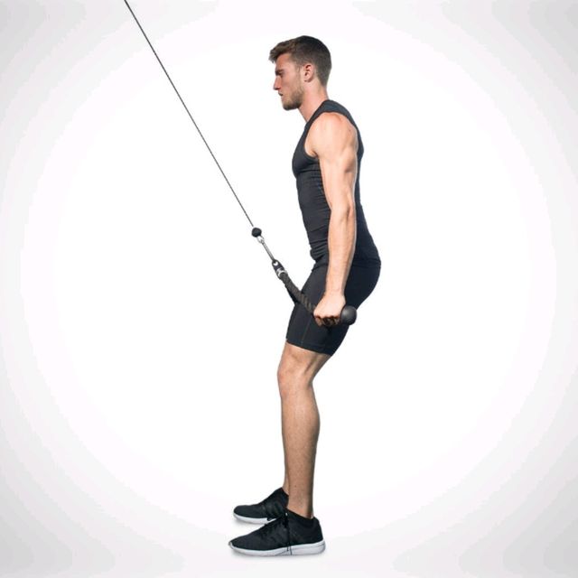 Triceps con Polea by Ramiro M. - Ejercicio Cómo hacerlo - Skimble