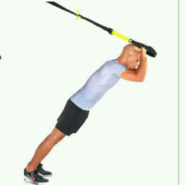 TRX triceps press - Exercise How-to - Workout Trainer by Skimble