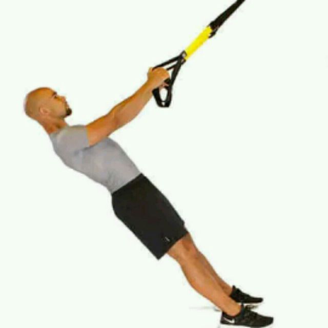 TRX LOW ROW - Exercise How-to - Workout Trainer by Skimble