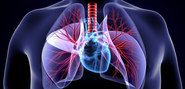 Pulmonary Hypertension During Exercise Foretells Later Risk of Adverse ...