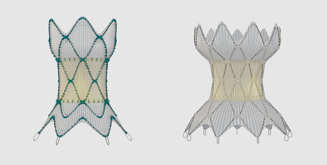 FDA Approves Harmony TPV for Pulmonary-Valve Regurgitation in ...