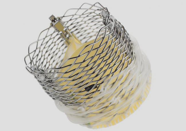 Boston Scientific Recalls All Lotus Valves, Including Lotus With Depth ...