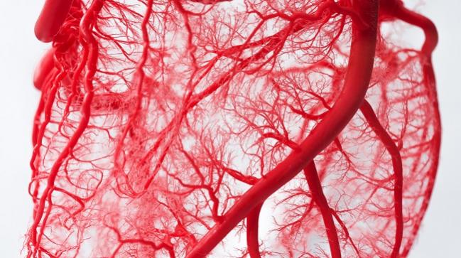 Coronary Microvascular Dysfunction May Be a Marker of CV Risk in Obese ...