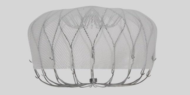 PINNACLE FLX: New-Generation Watchman Has High Closure Rates, Good ...