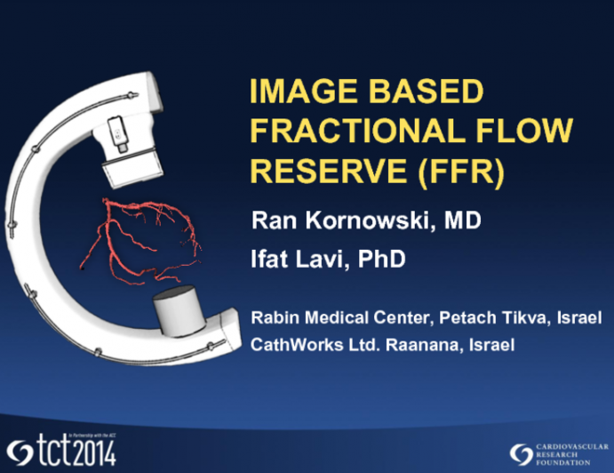 The CathWorks Technology for Image-Based FFR During Coronary ...