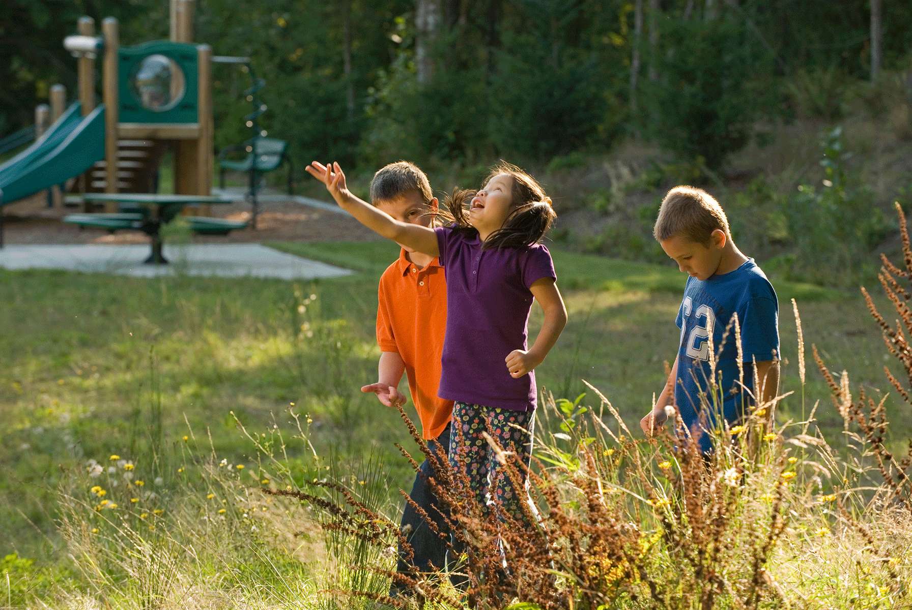 PlayCore | Nature Play Inspired Activities