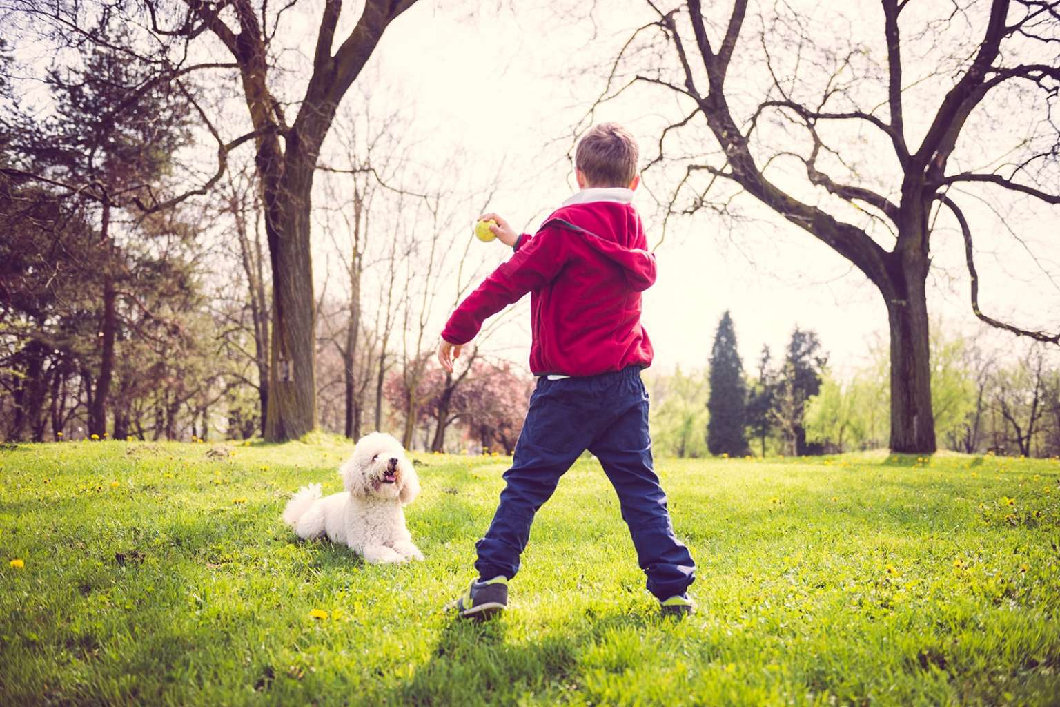 PlayCore | Why Do Humans Play? Science of Play for Humans & Animals