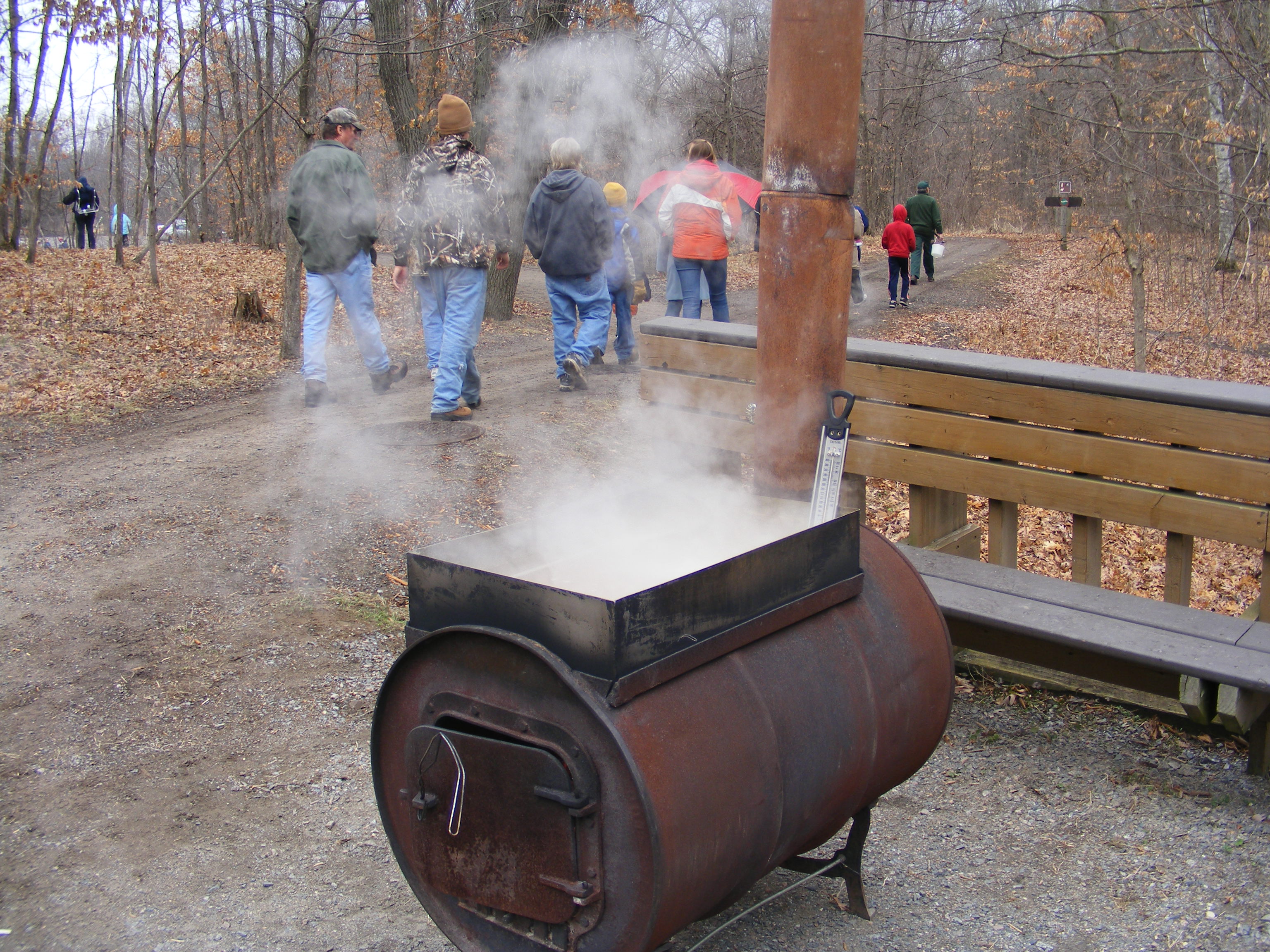 PRX » Piece » Harvesting Maple Syrup