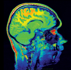 PRX » Piece » Peace Talks Radio: The Neuroscience of Compassion (29:00)