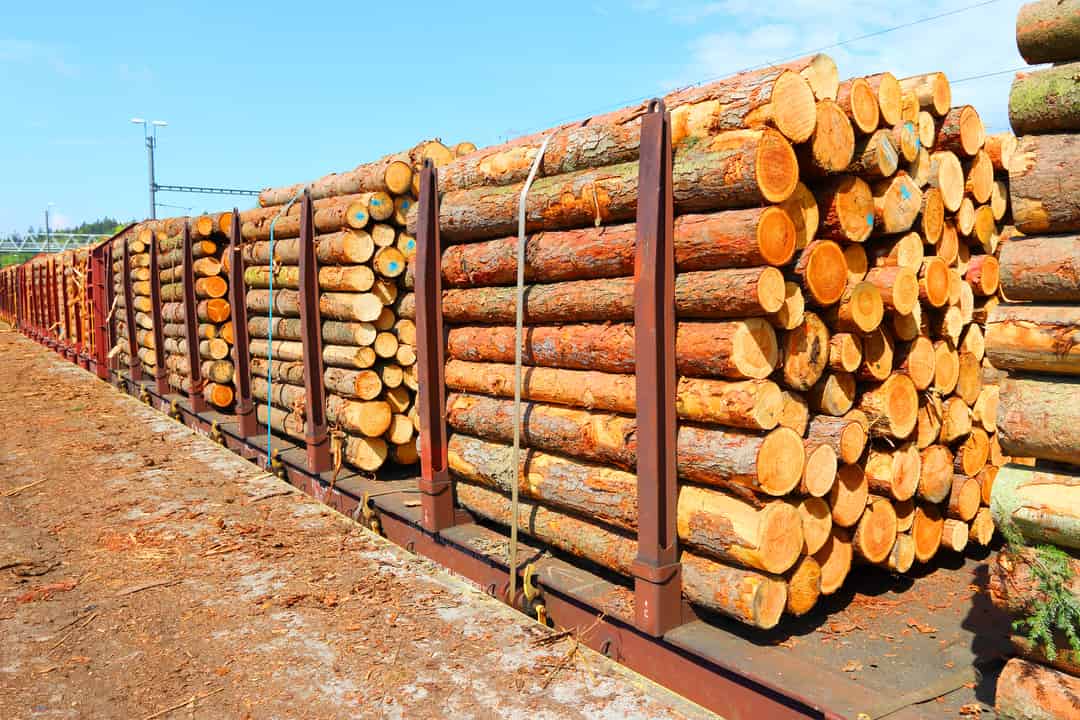 Identifying Illicit Timber Trade Between Vietnam and China | Published ...
