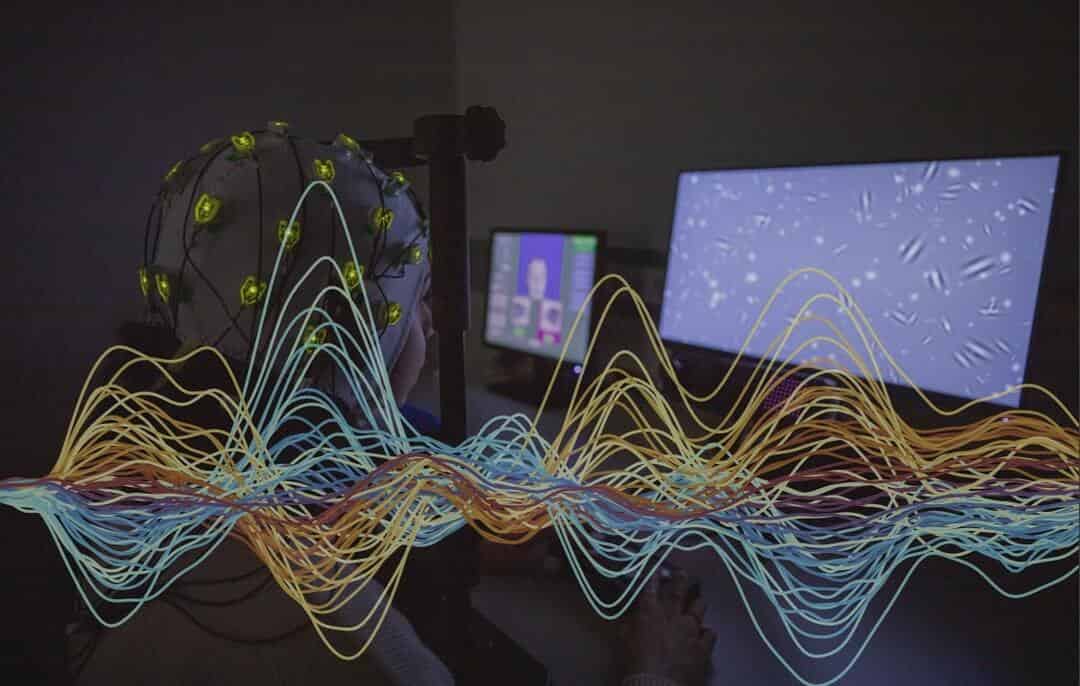 The Art of Brainwaves: A Survey on Event-Related Potential ...