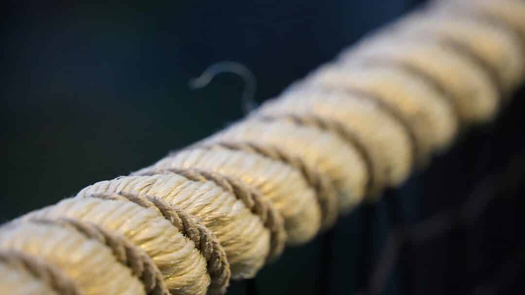 Management of High Ankle Sprains Utilizing the Tightrope Surgical ...